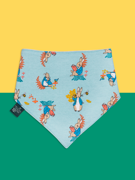 Peter Rabbit™ Woodland Bib | Unisex Bibs For Babies & Little Ones ...